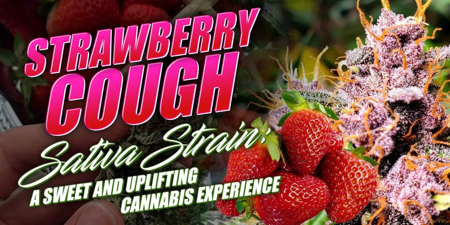 Strawberry Cough Sativa Strain: A Sweet and Uplifting Cannabis ...