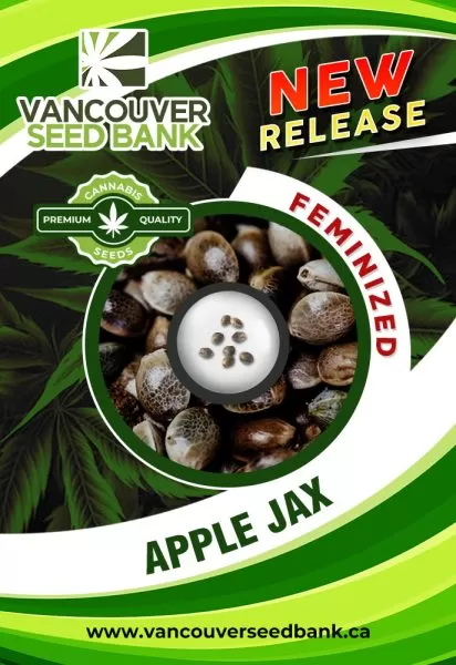 Apple Jax Strain Feminized Marijuana Seeds | Vancouver Seed Bank