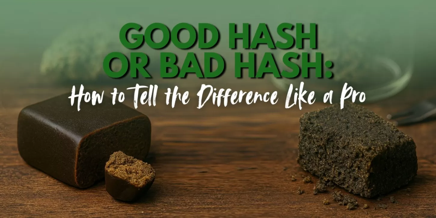 Good Hash or Bad Hash: How to Tell the Difference Like a Pro ...
