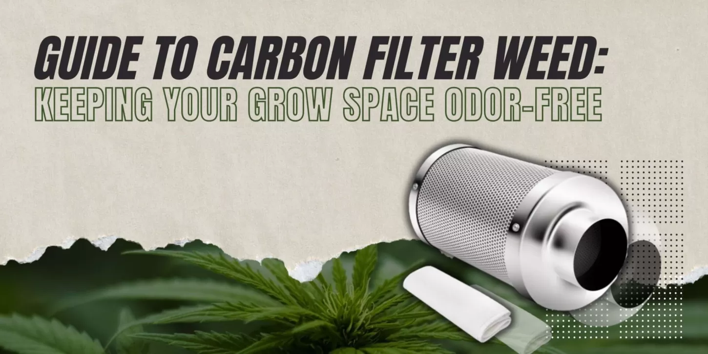 Guide to Carbon Filter Weed: Keeping Your Grow Space Odor-Free ...