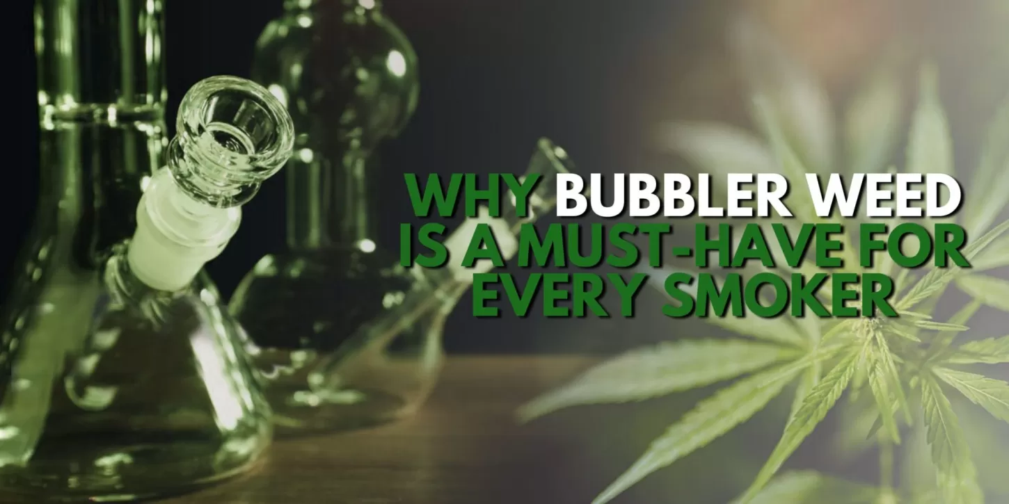 Why Bubbler Weed Is a Must-Have for Every Smoker | Vancouver Seed Bank